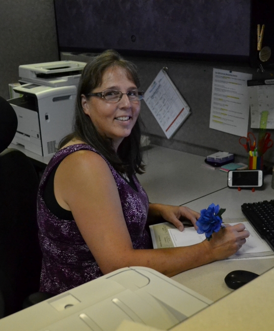 Teaching Strategies | Our Experienced Team | YES